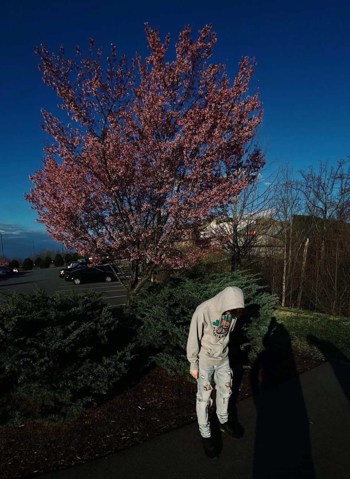 Tyler Larson Is Successful Artist & Entrepreneur » REDx Magazine