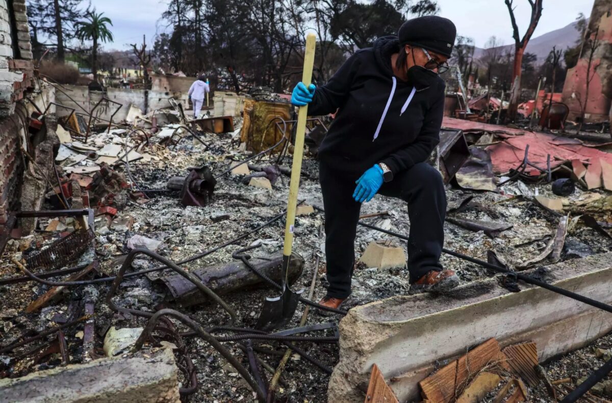 California Wildfires Contained: Inspiring Recovery And A Bright Future ...